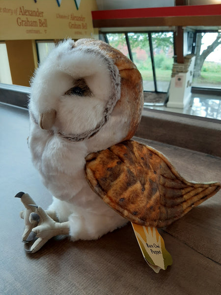 Folkmanis Barn Owl Puppet ~ Large – Alexander Graham Bell Museum Store